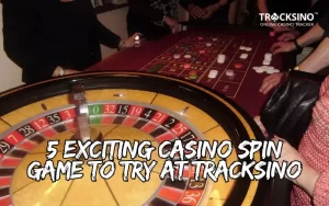 Elite Tracker | Maximizing Your Experience with Tracksino